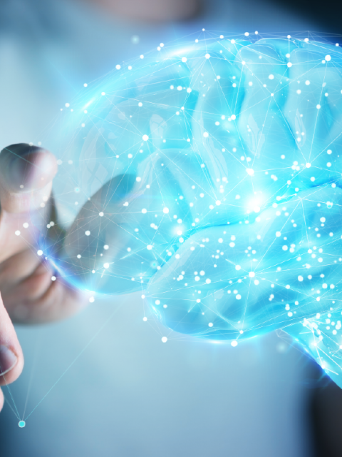 Mecanismos de neuroprotección y neurorreparación de la citicolina en el ...