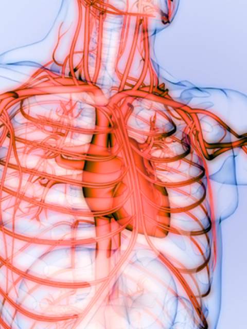 Cómo utilizar las tablas de estimación de riesgo cardiovascular SCORE ...