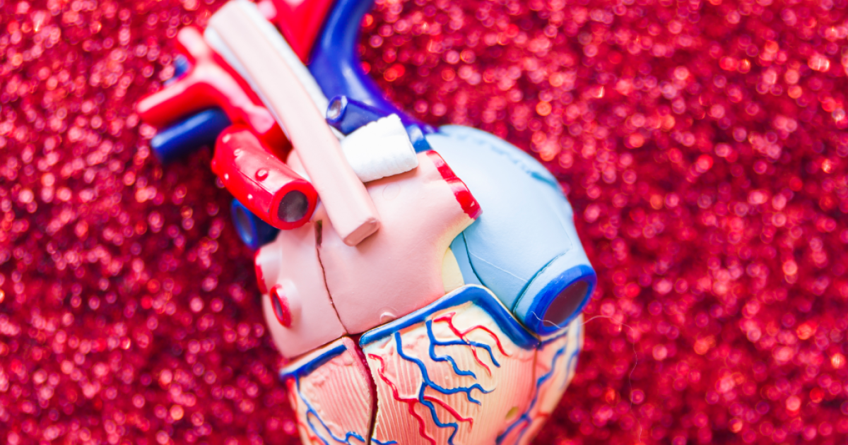 Científicos crean el primer corazón miniatura funcional | medPoint