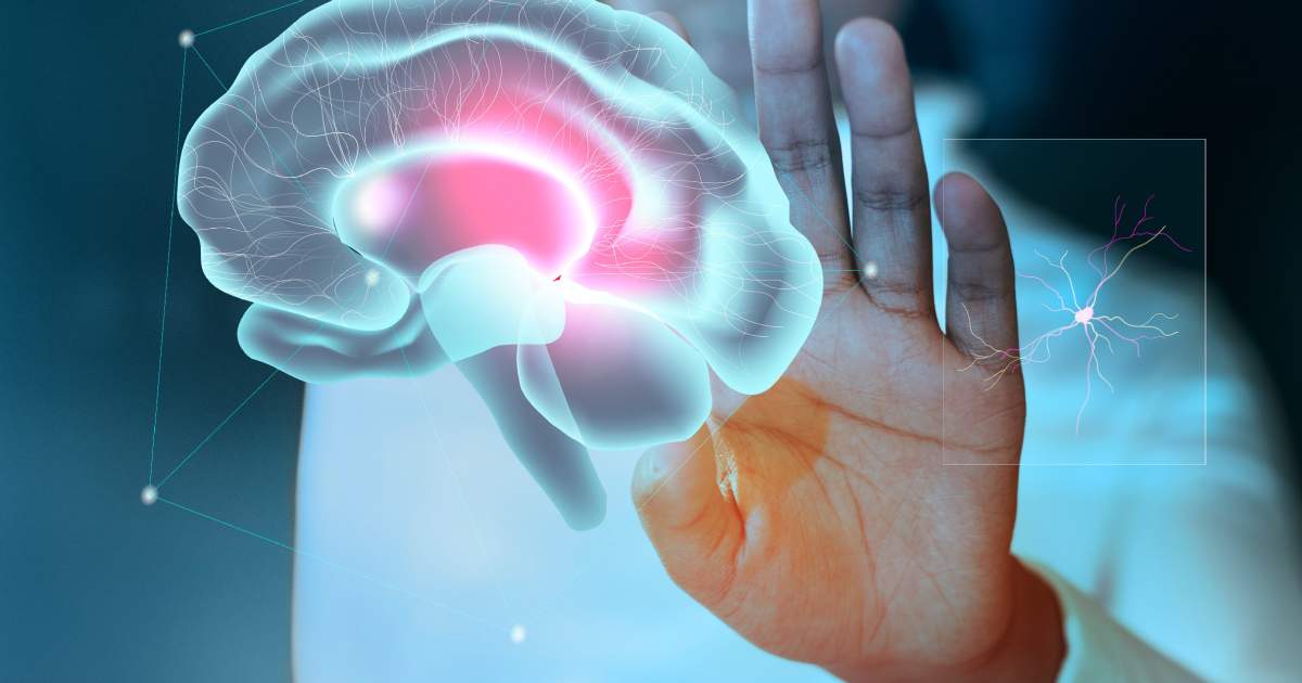 Un nuevo blanco terapéutico para neuroprotección en accidente ...